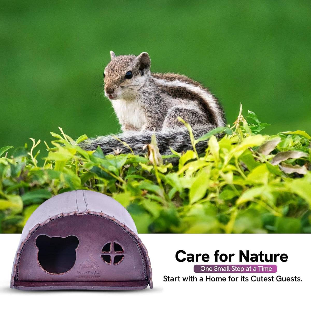 Squirrel House – Sparrow Daughter